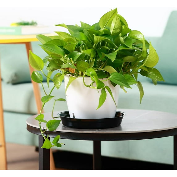 30 Packs 18" Extra-Large Plant Saucers for Indoor Outdoor Use Heavy ...