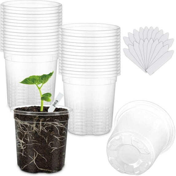 30 Packs 4 Inch Reinforced Clear Nursery Pots for Plants with Drainage ...
