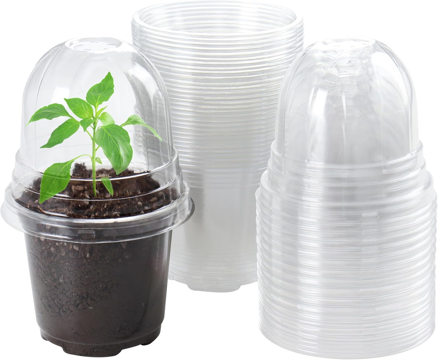 30 Packs 4 Inch Reinforced Clear Nursery Pots with Humidity Dome ...