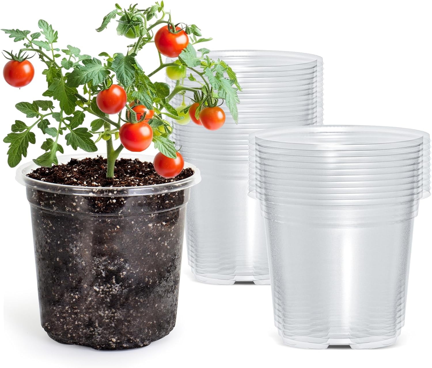 30 Packs 5 Inch Reinforced Clear Nursery Pots with Drainage Hole ...