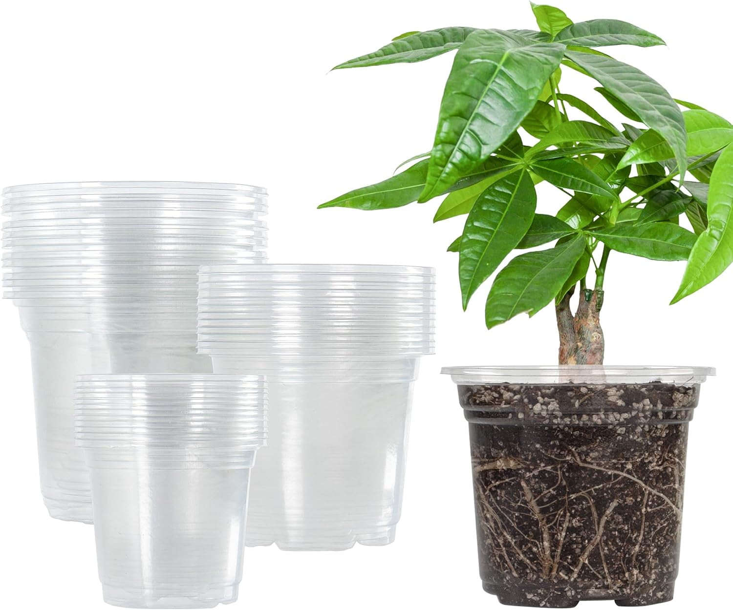 30 Packs 7/5/4 Inch Clear Nursery Pots for Plants, Plastic Seedling ...