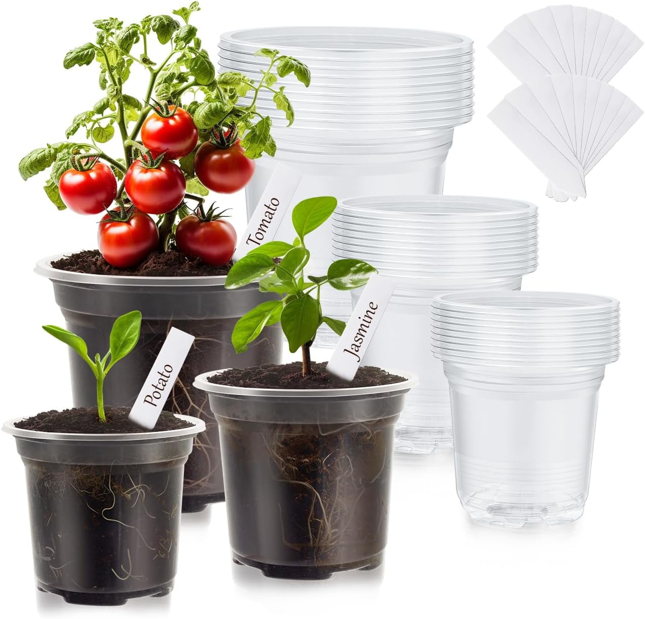 30 Packs Clear Nursery Pots for Plants, 3.5/4/5 Inch High Transparency ...
