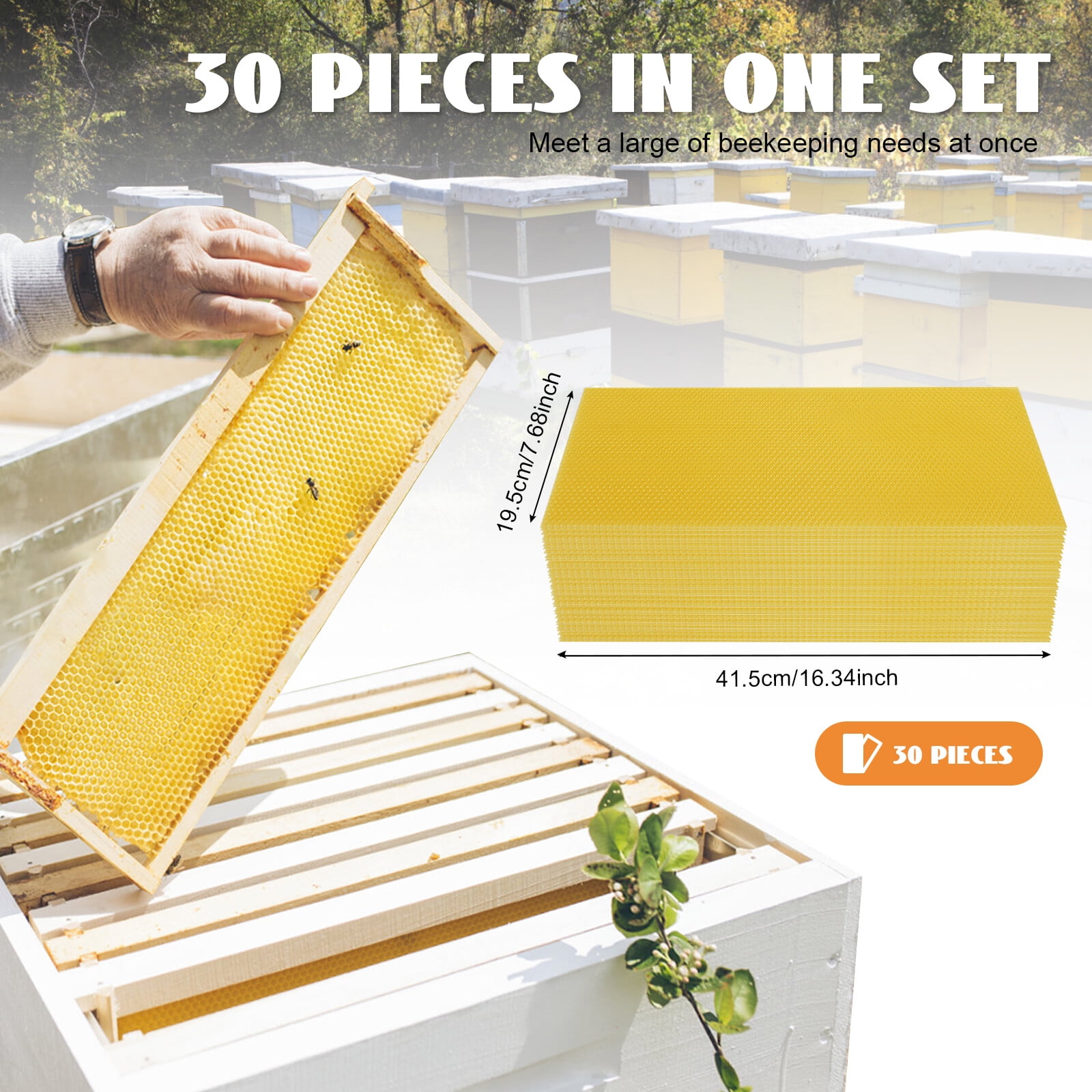 PEAKORA30 Packs Honeycomb Wax Frames for Beekeeping Foundation Beehive ...