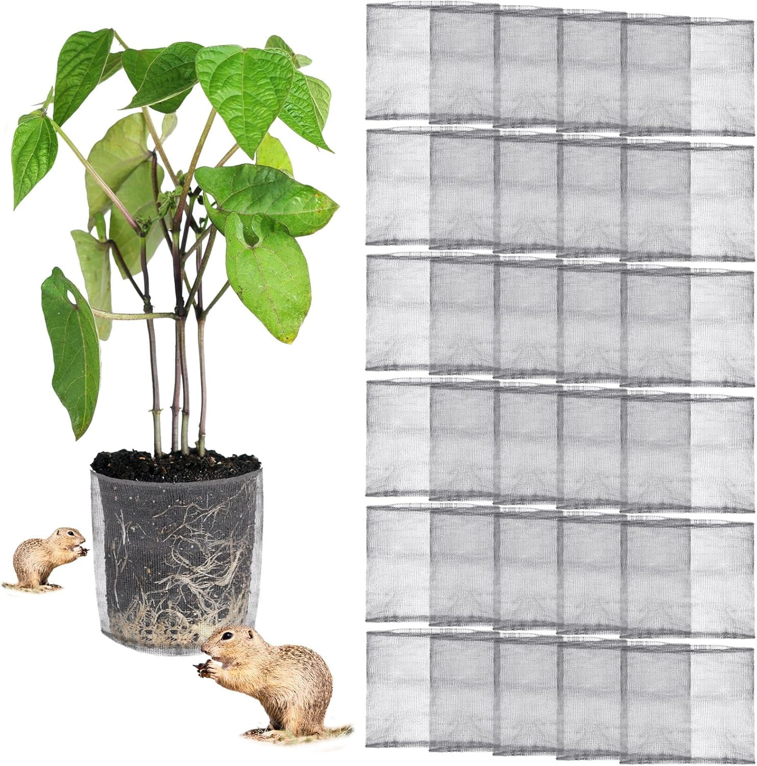 30 Pcs 3 Gallon Gopher and Vole Wire Mesh Basket Bulk Stainless Steel ...