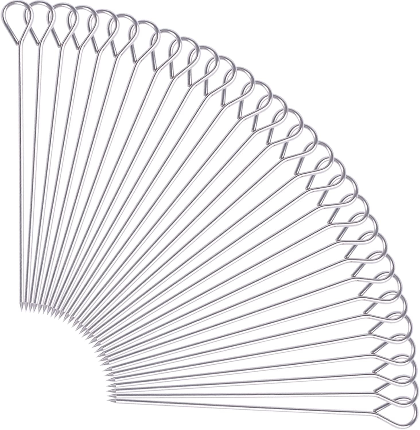 30 Pcs 6 inches Stainless Steel Turkey Lacers for Home Trussing Turkey ...