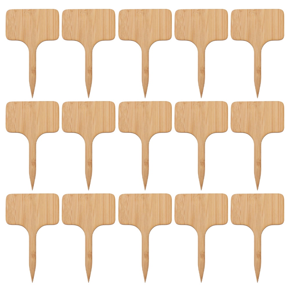30 Pcs Bamboo Label Insert Succulent Planters Labels Tags Seedling ...