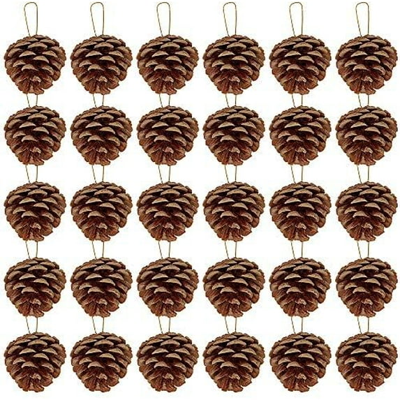 30 Pcs Christmas Hanging Real Preserved Pine Cones Ornaments 2"-3" Tall ...