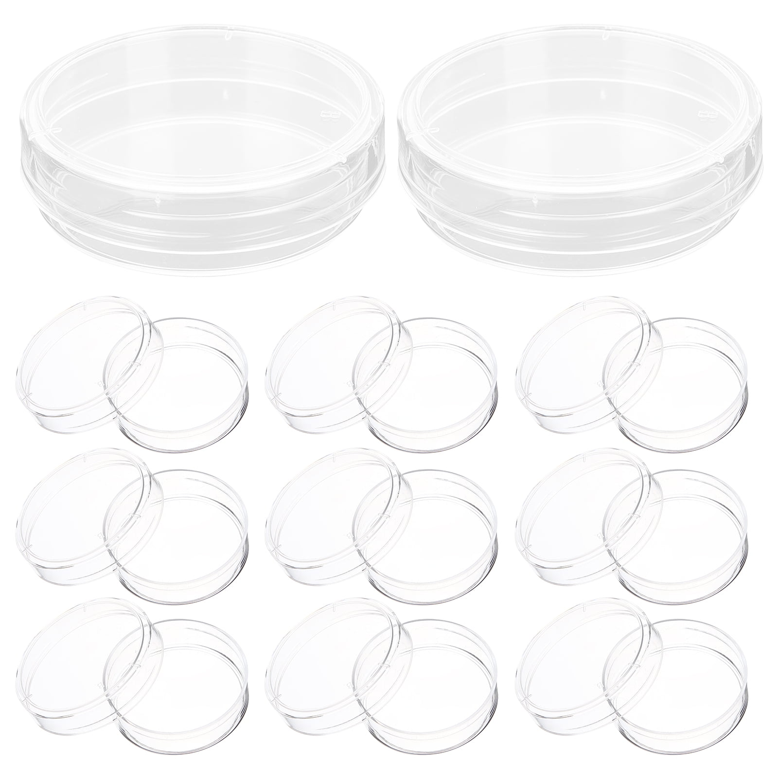 WHAMVOX 10 Pack Transparent Plastic Petri Dishes with Lids for ...