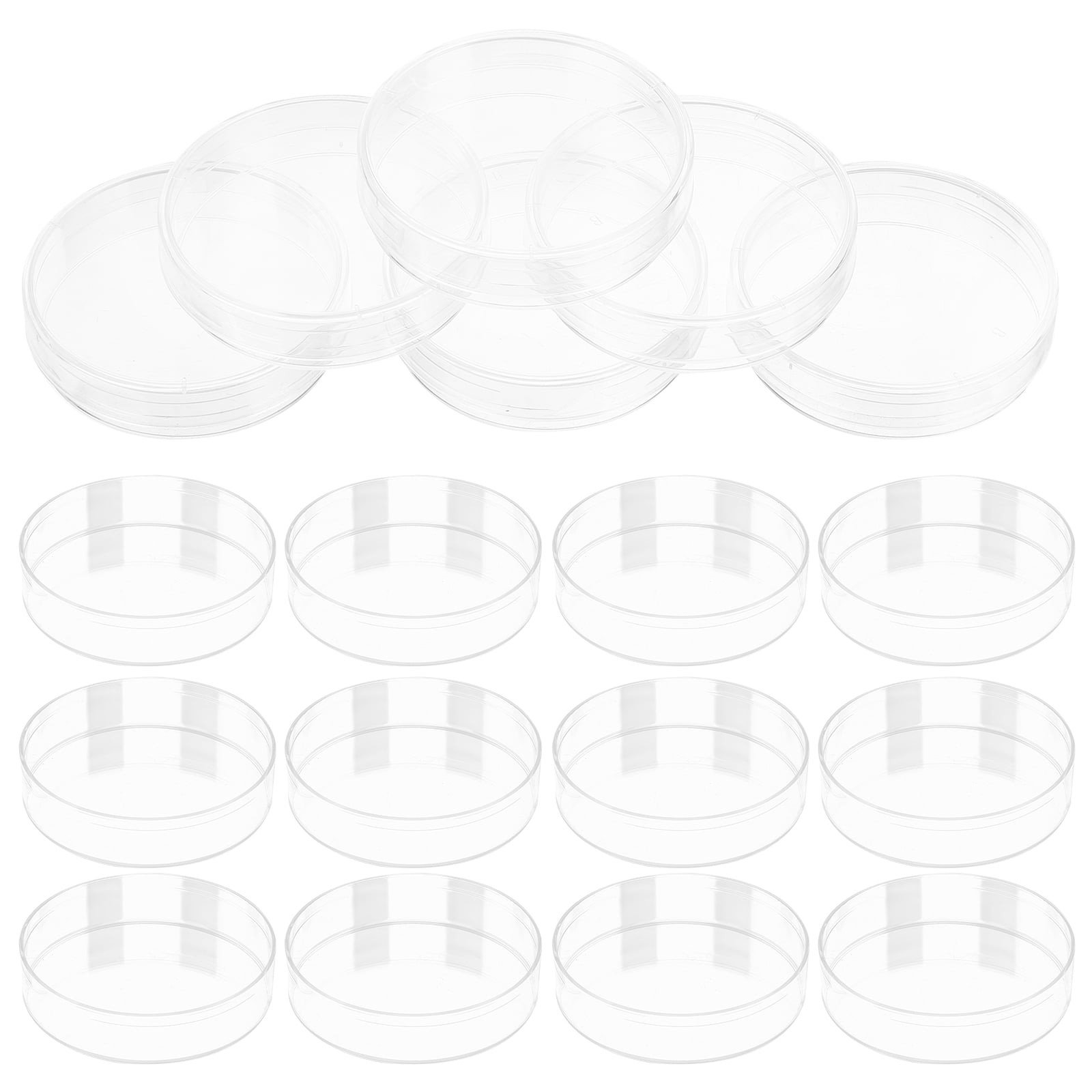 30 Pcs Culture Plate Dishes with Lids for Science Petri Laboratory ...
