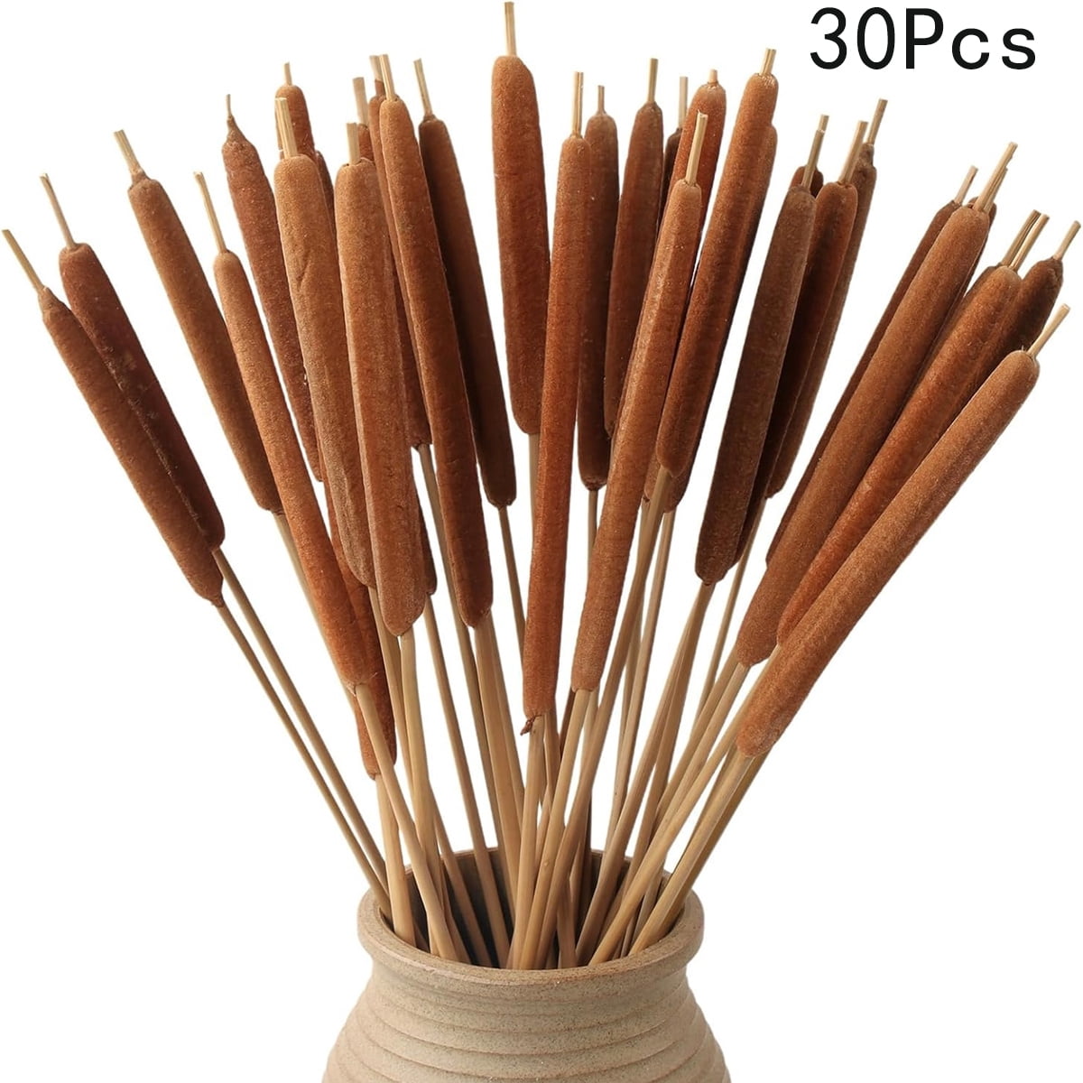30 Pcs Dried Natural Cattails Tutuviw 17in Large Cattails Bundles Real ...