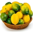 30 Pcs Fake Lemon, Artificial Lemons Faux Fruits Green and Yellow ...