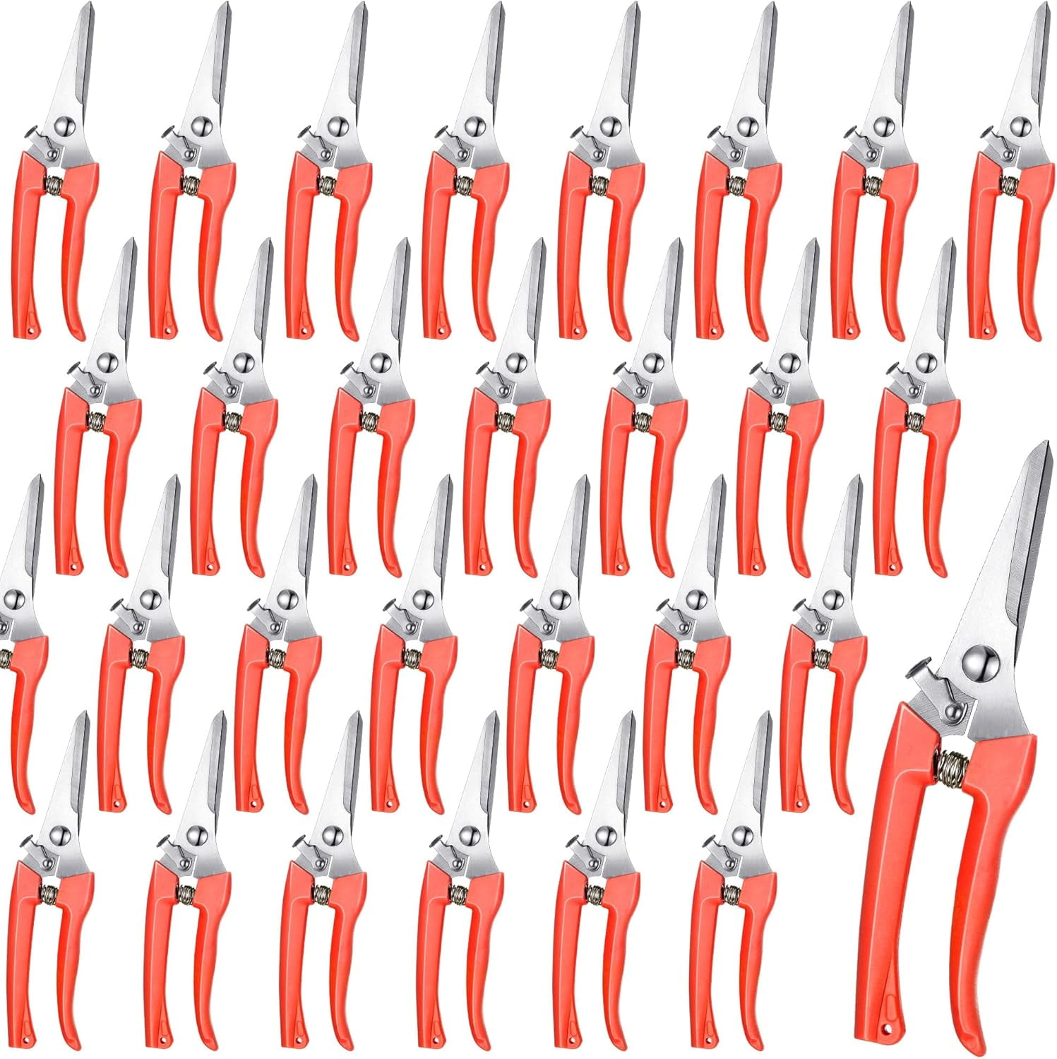 30 Pcs Garden Flower Shears Pruning Scissors Heavy Duty Plant Scissors ...