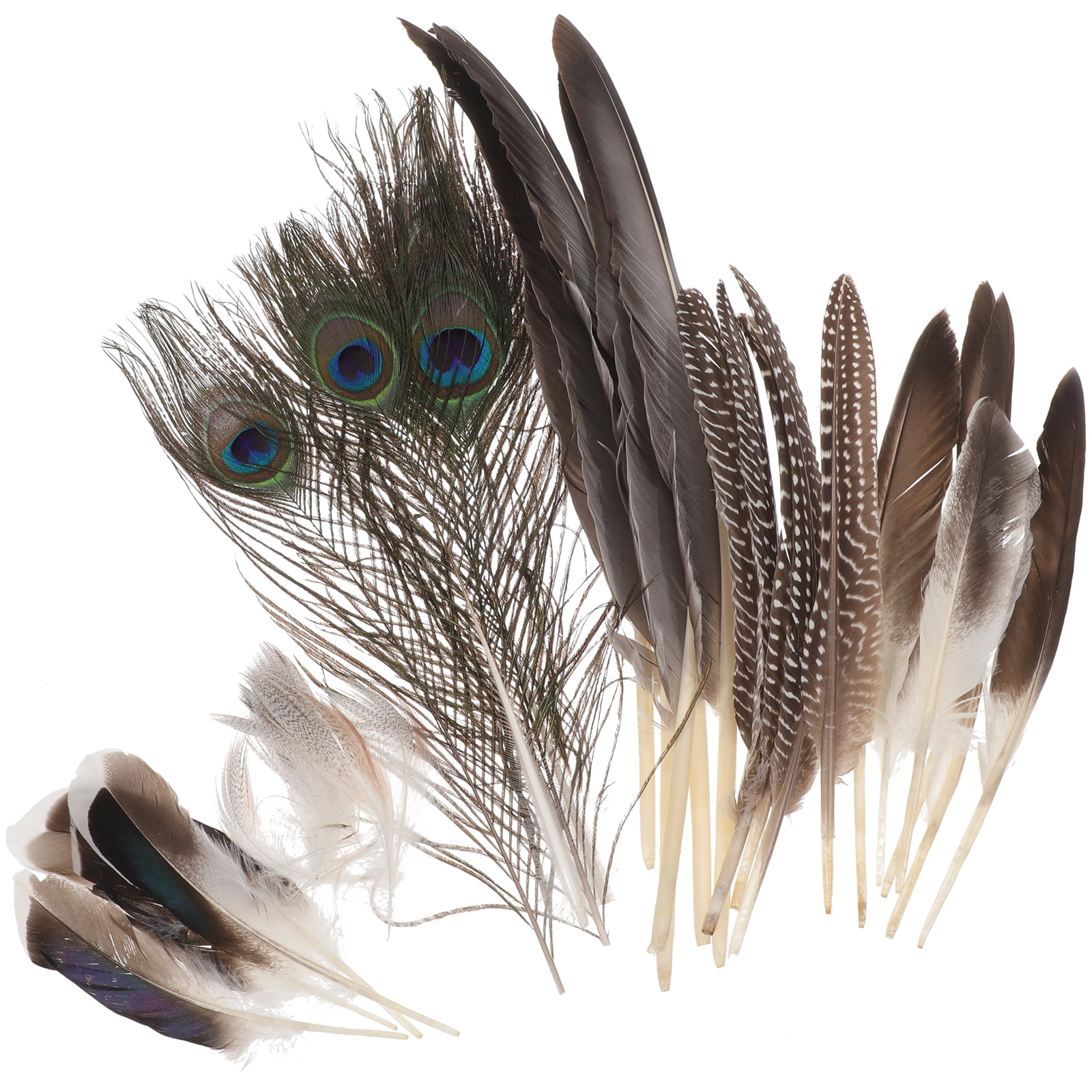 30 Pcs Plumes Fluffy Plumes Natural Plumes Props Decorative Plumes For ...