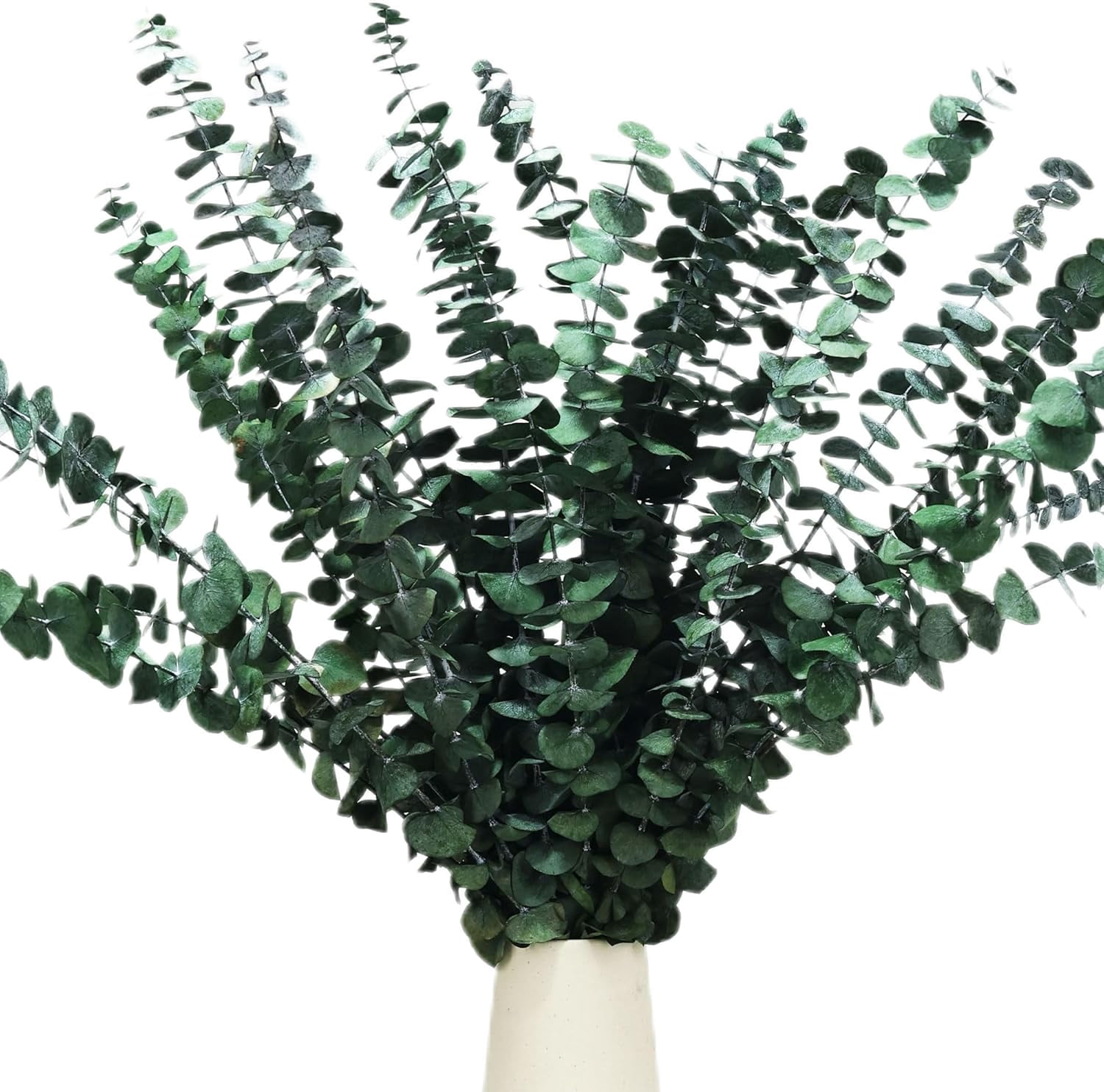 30 Pcs Real Dried Eucalyptus Stems, 17" Natural Fresh Branches for ...