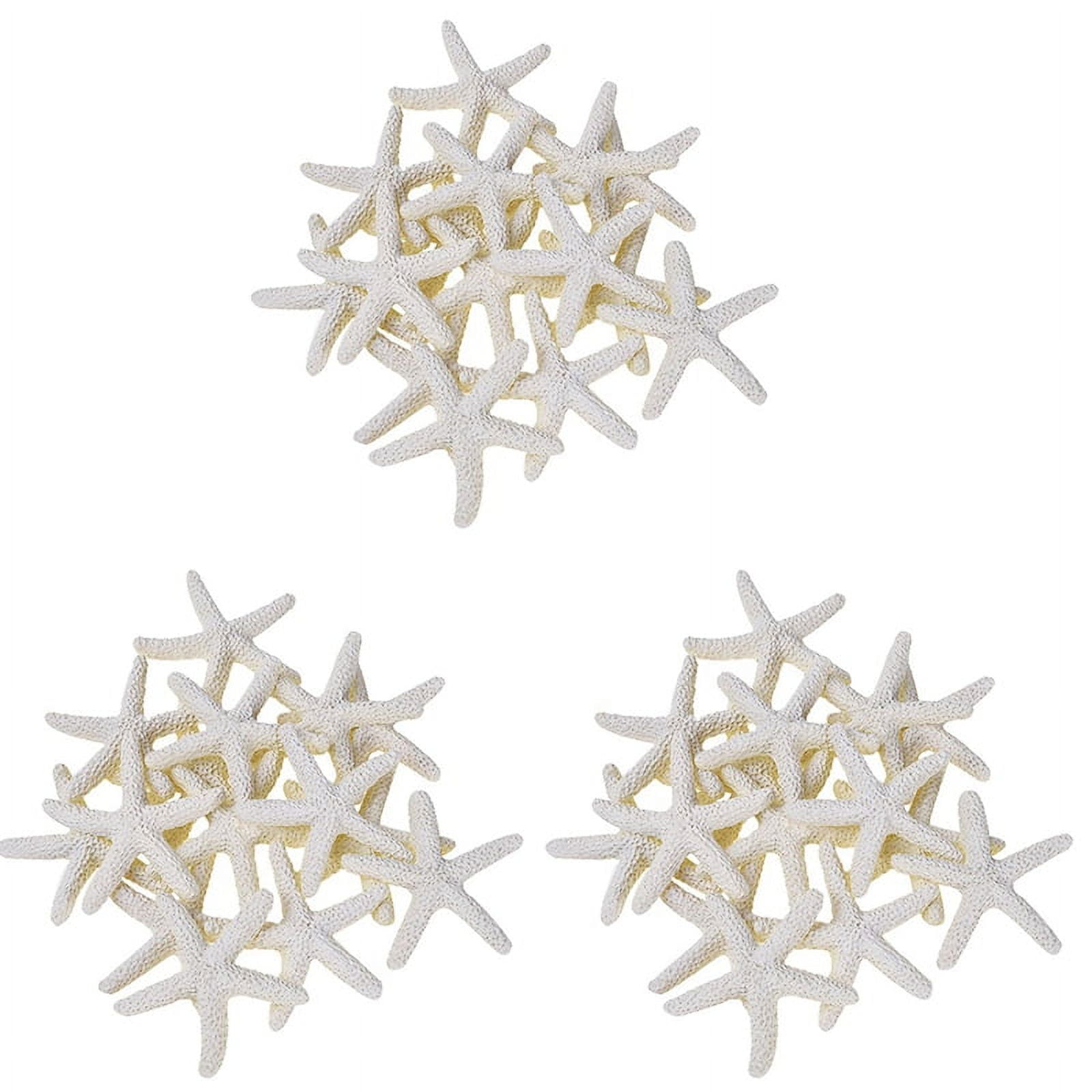 30 Pieces Creamy-White Pencil Finger Starfish for Wedding Decor, Home ...