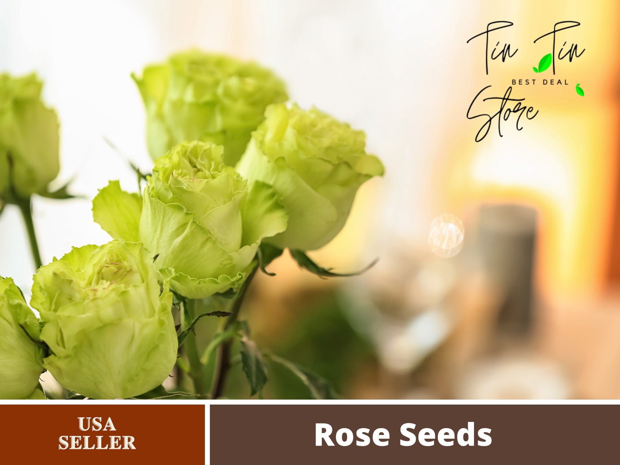 30 Rare Seed-Bright Green Rose Seeds #1076-Authentic Seeds-Flowers ...