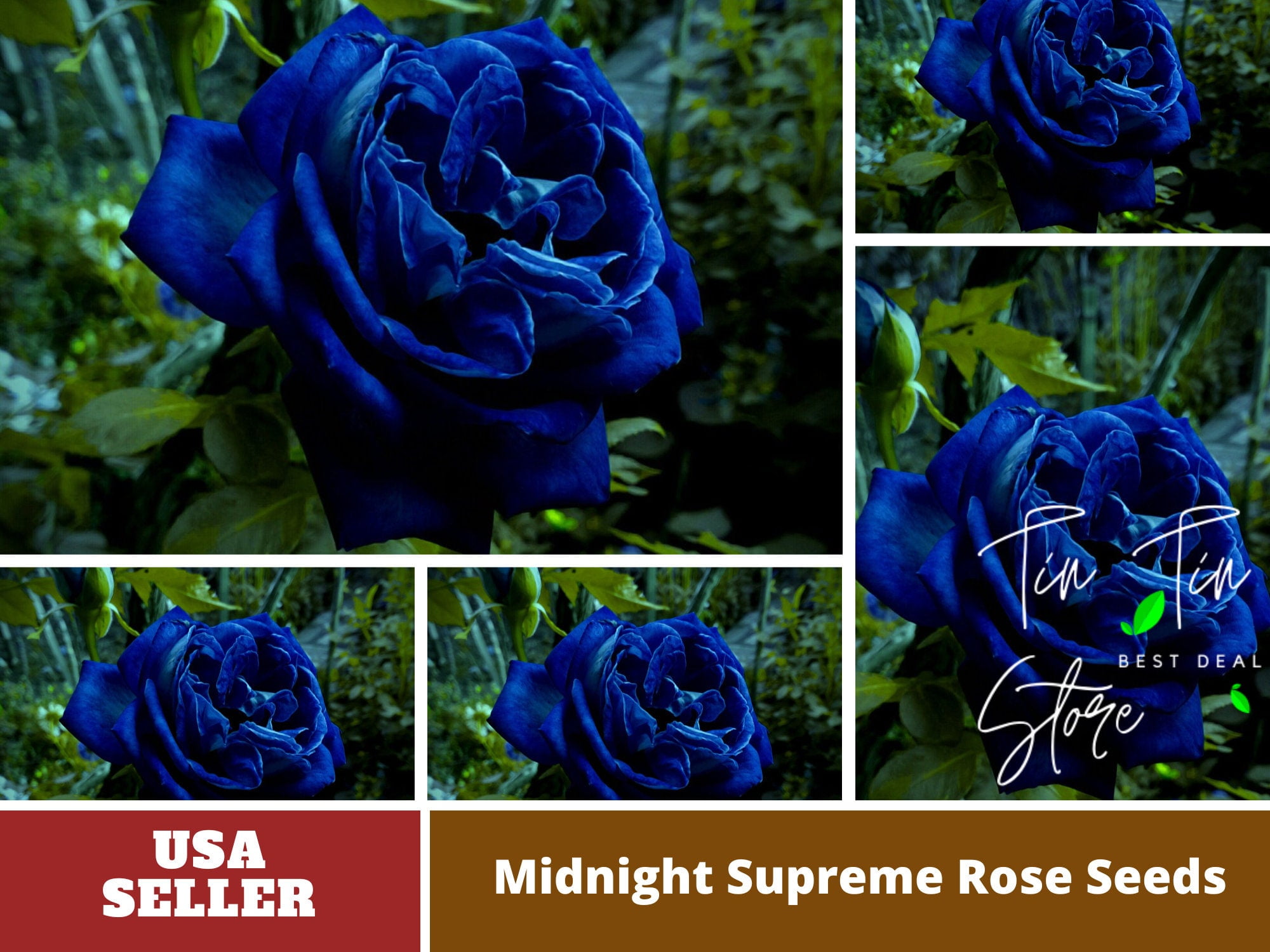 30 Rare Seeds-Midnight Supreme Rose Seed-#1067-Authentic Seeds-Flowers ...