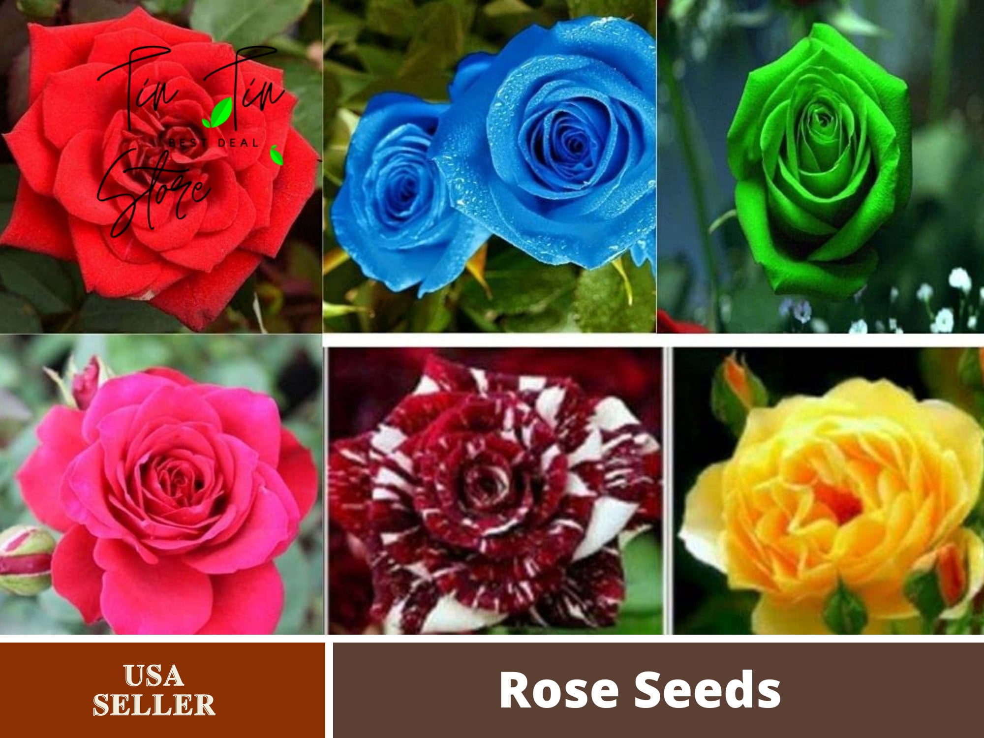 PEMDASGARDEN 30 Multicolor Rose Seeds, Germination Tips Included, 3-4 ...
