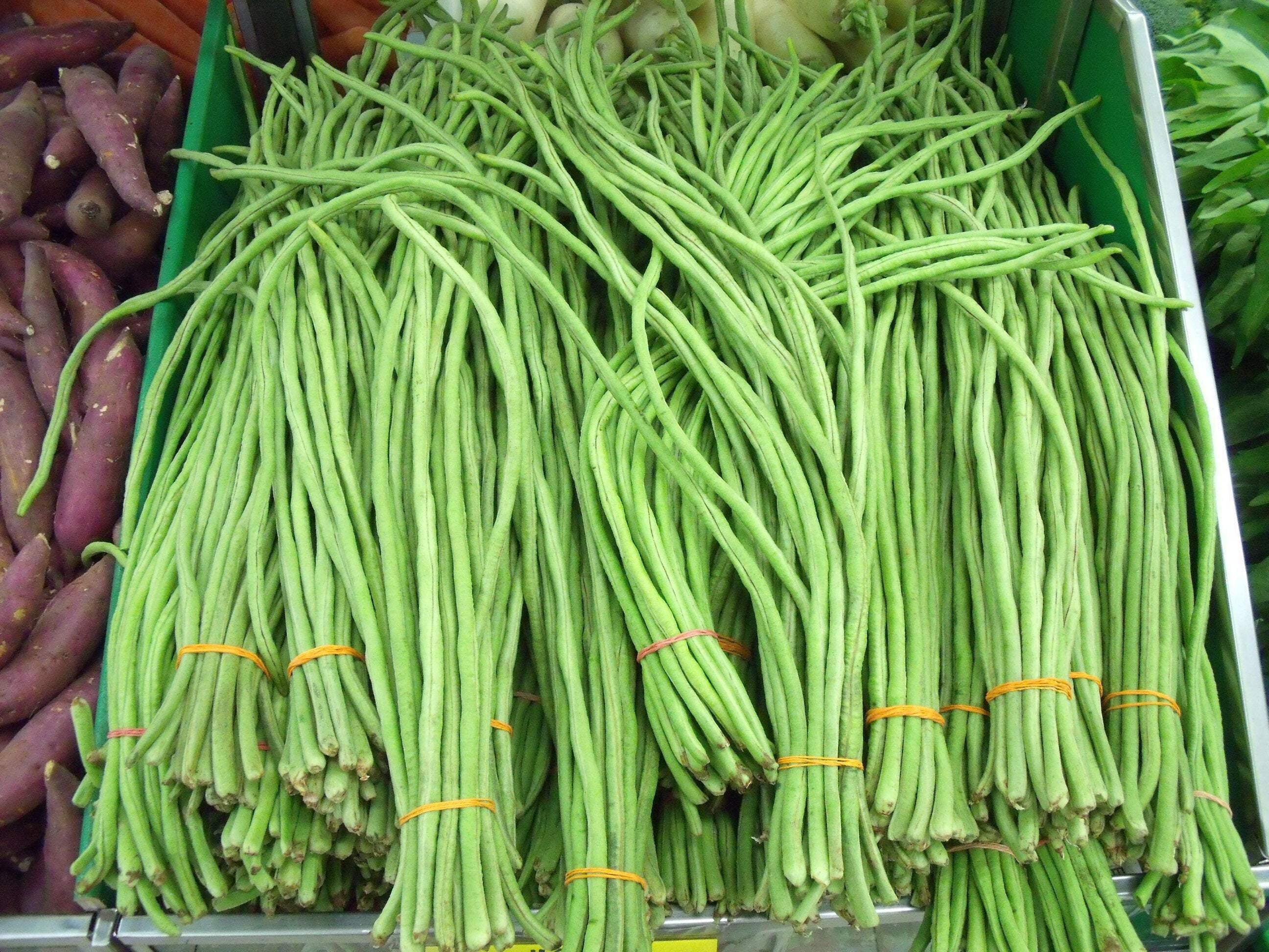 30 Seeds YARD LONG BEAN Asparagus Bean Cowpea Phaseolus Vulgaris ...