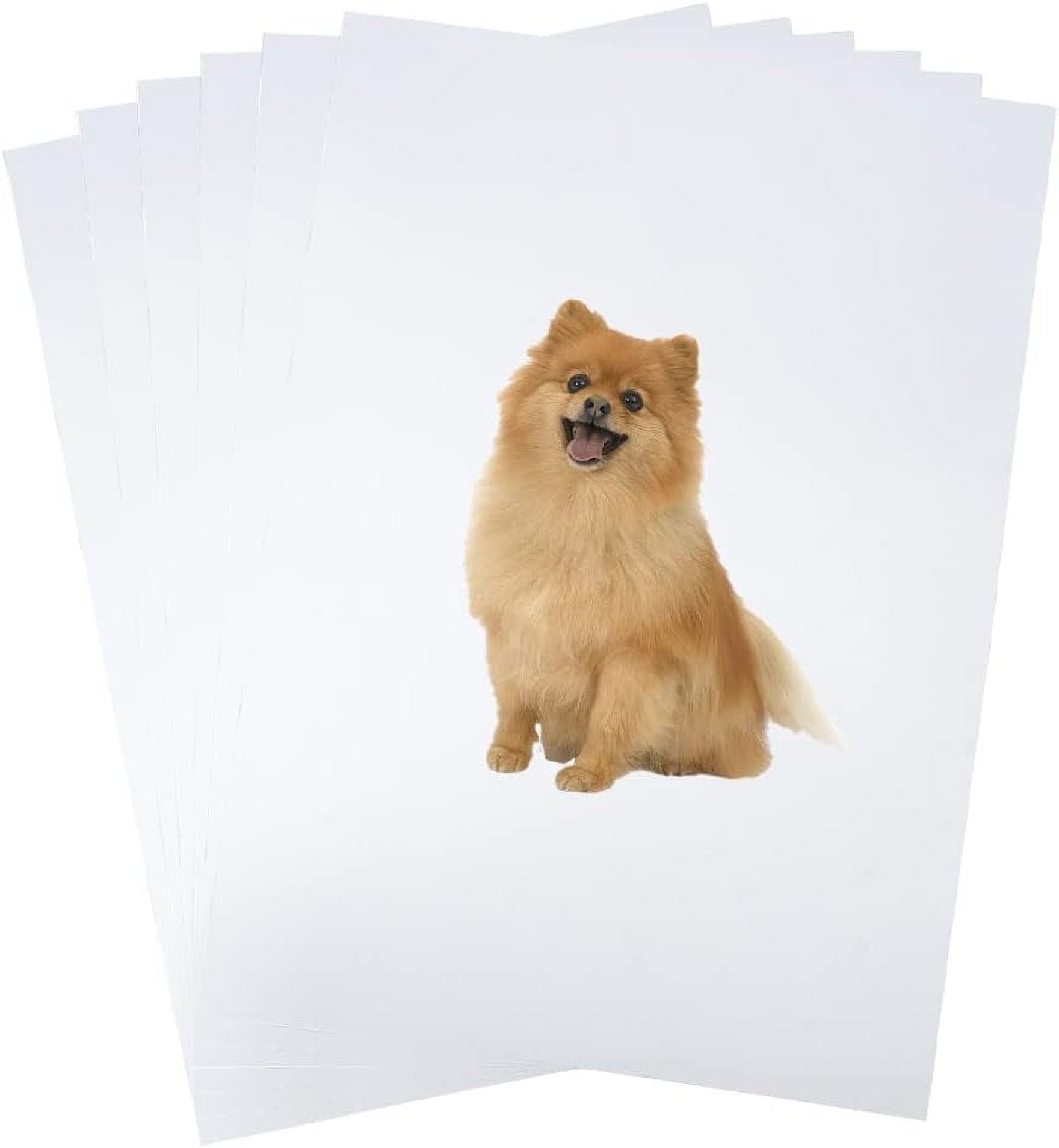 30 Sheet A3 PET Printable Heat Transfer Papers Blank Iron on Vinyl for ...