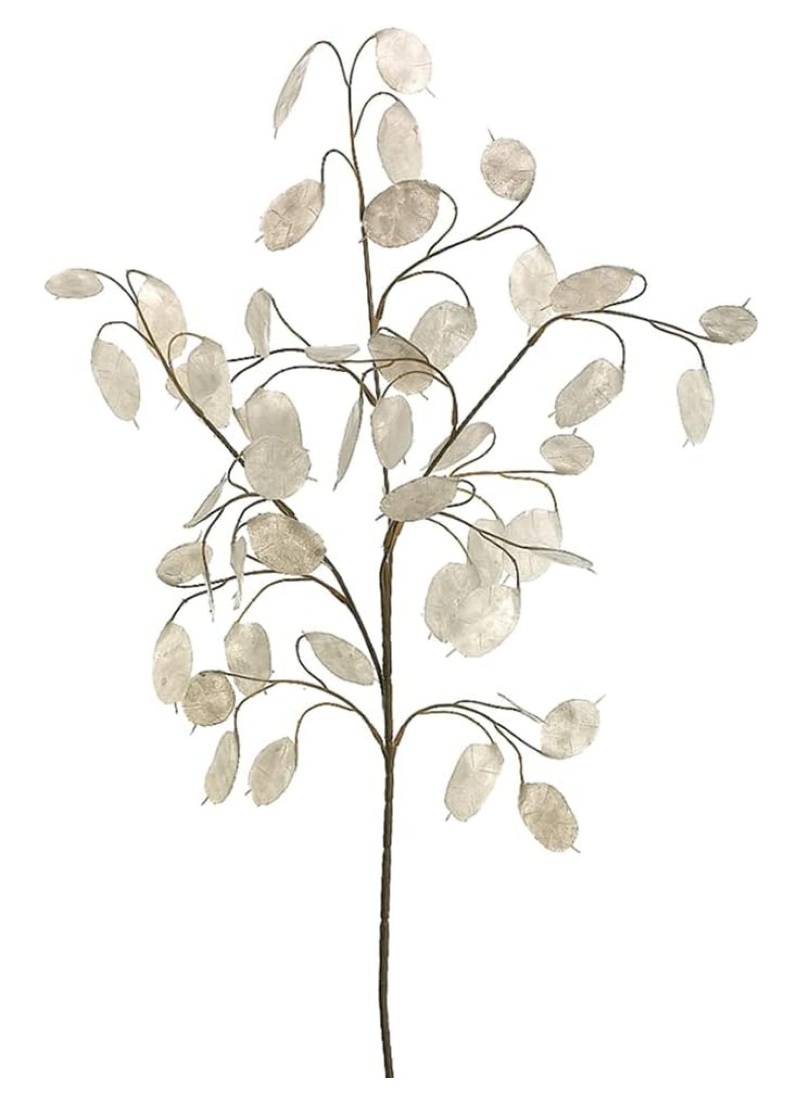 30" Silver Dollar Spray White (Pack of 12) - Walmart.com