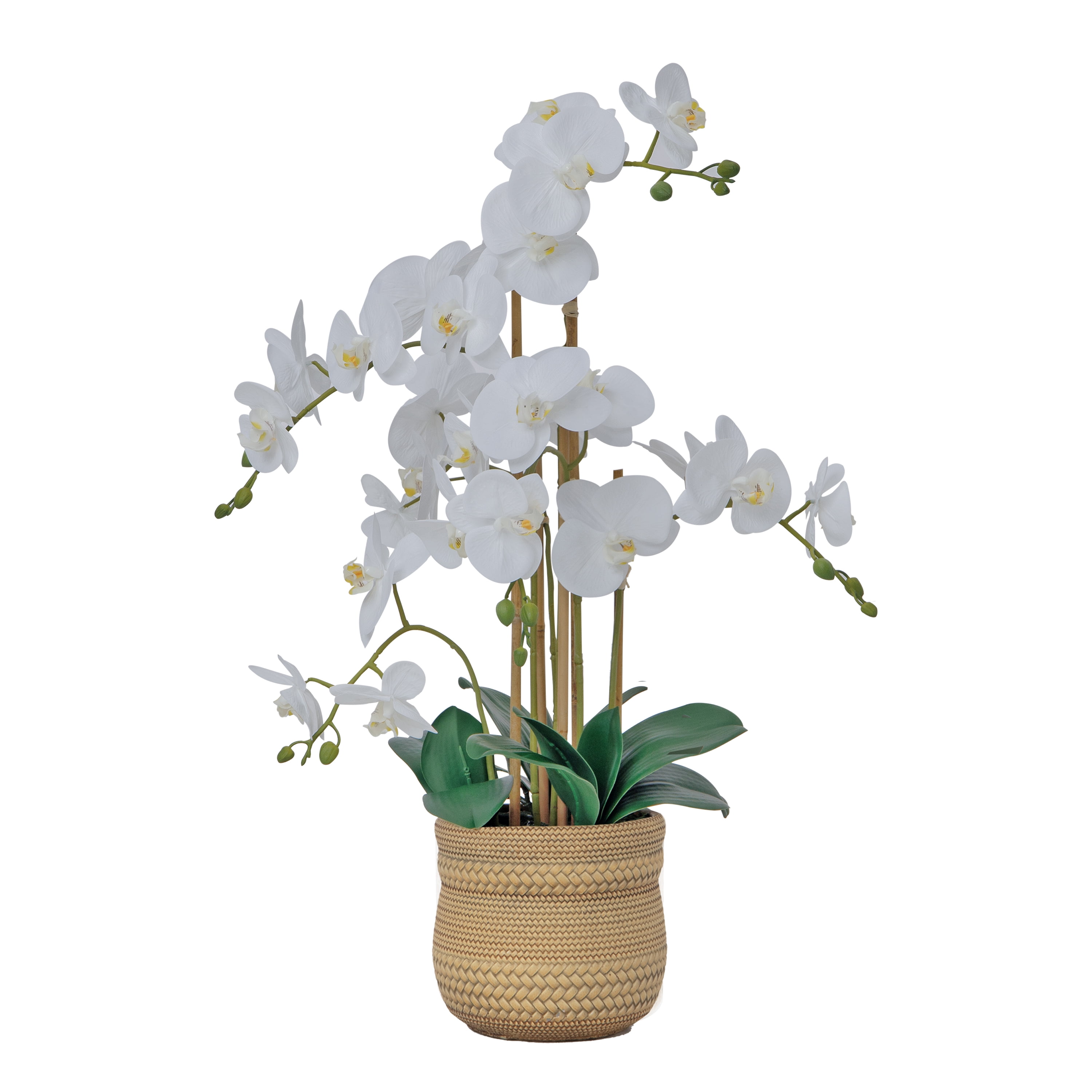 30" White Orchid Arrangement in a Large Tan Ceramic Planter | Real ...
