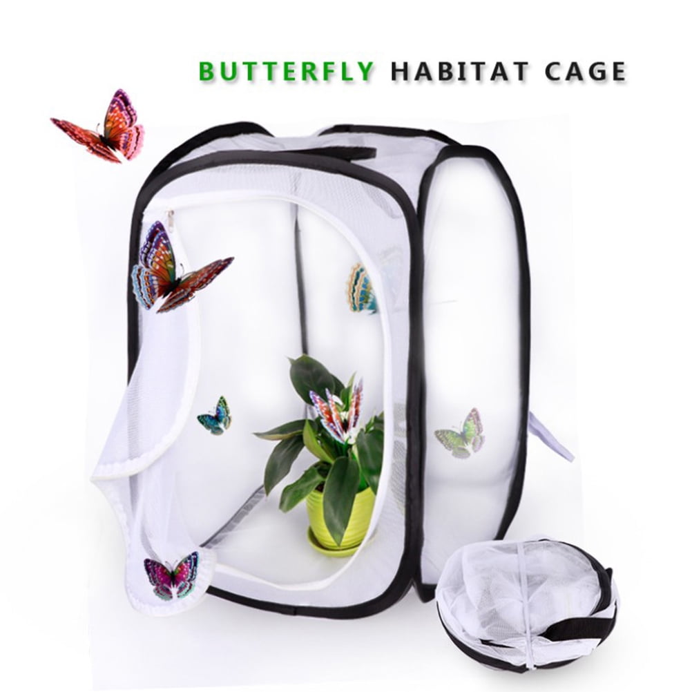 30 X30cm Insect Cage for Kids Insect Habitat Insect Observation Tools ...