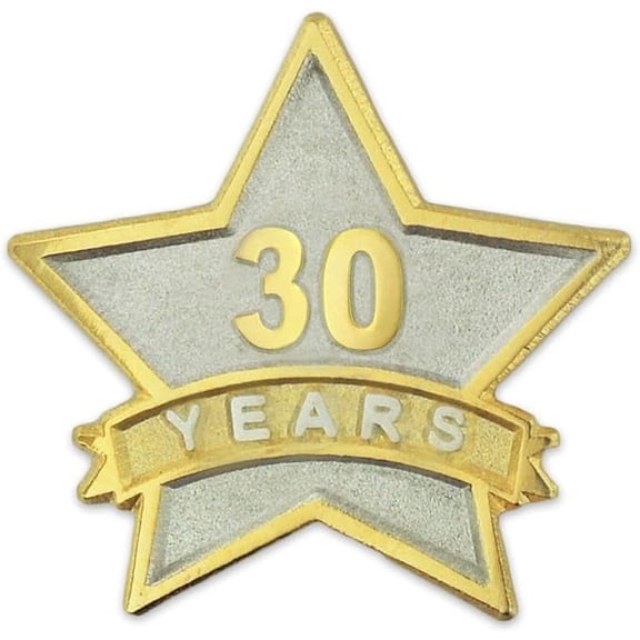 PinMart Gold Plated Excellence in Service Year Employee Recognition ...
