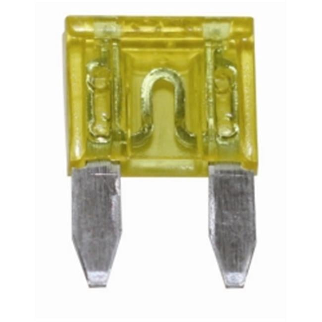 30 amp Green Mini Fuse - 2 Piece - Walmart.com