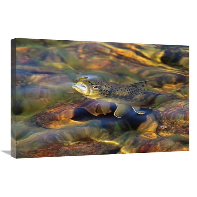 30 in. Brown Trout Surfacing Art Print - Vic Schendel - Walmart.com
