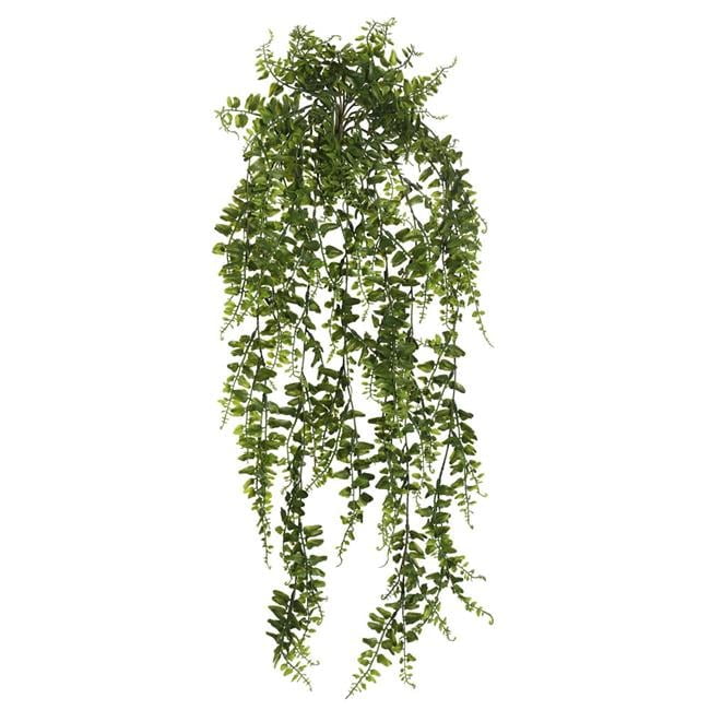 30 in. Green Bucler Fern Vine - Walmart.com
