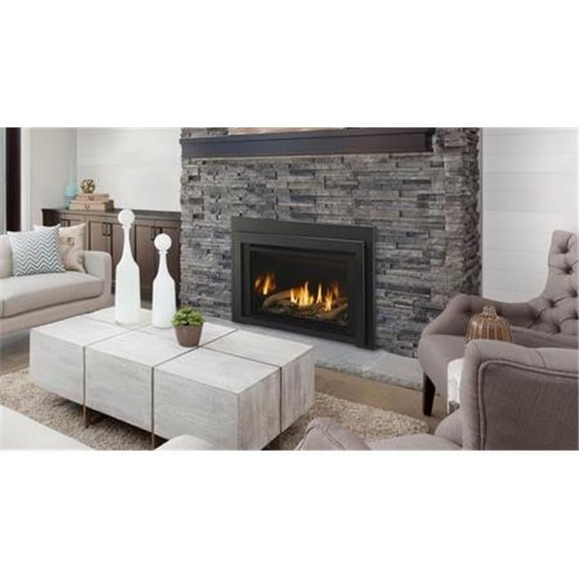 30 in. Ruby Medium Direct Vent LPG Gas Insert with Intellifire Touch ...