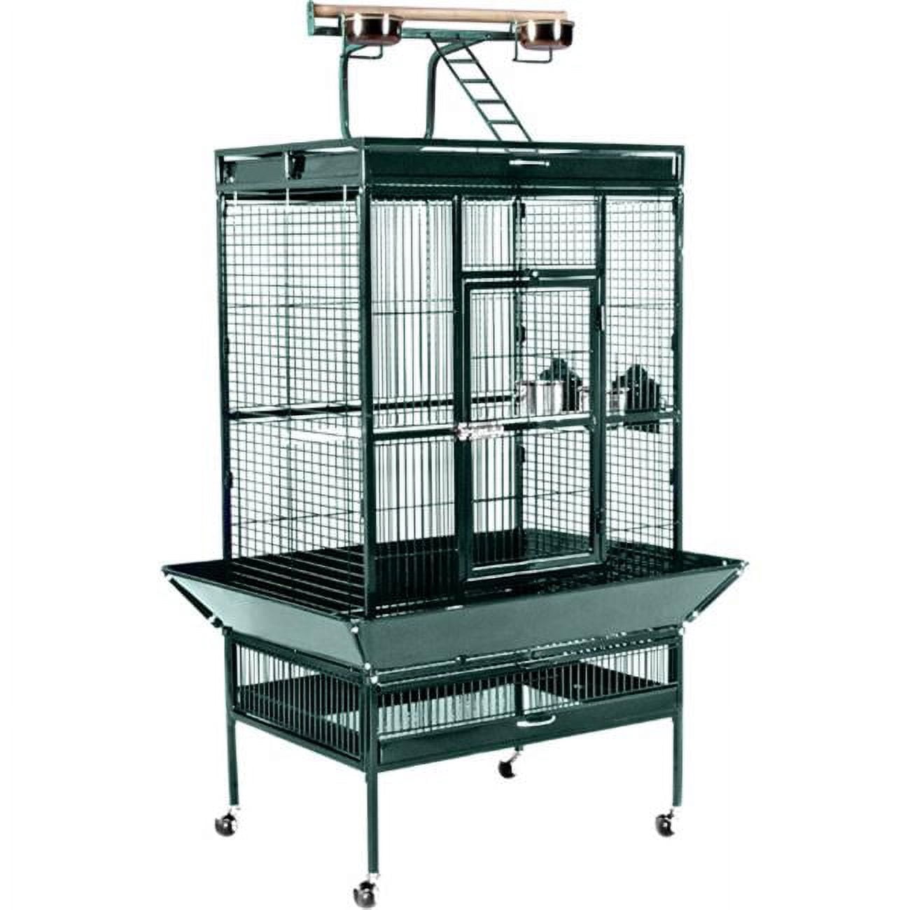 30 in. x 22 in. x 63 in. Wrought Iron Select Cage - Sage - Walmart.com