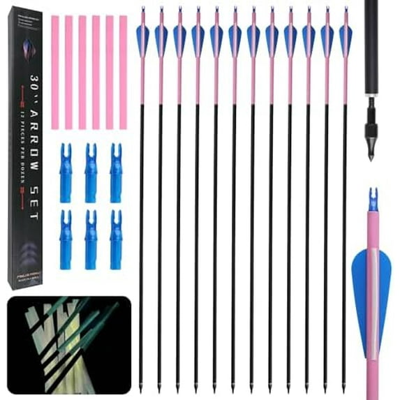 30 inch Carbon Arrow Practice Hunting Arrow, with Detachable tip, can ...