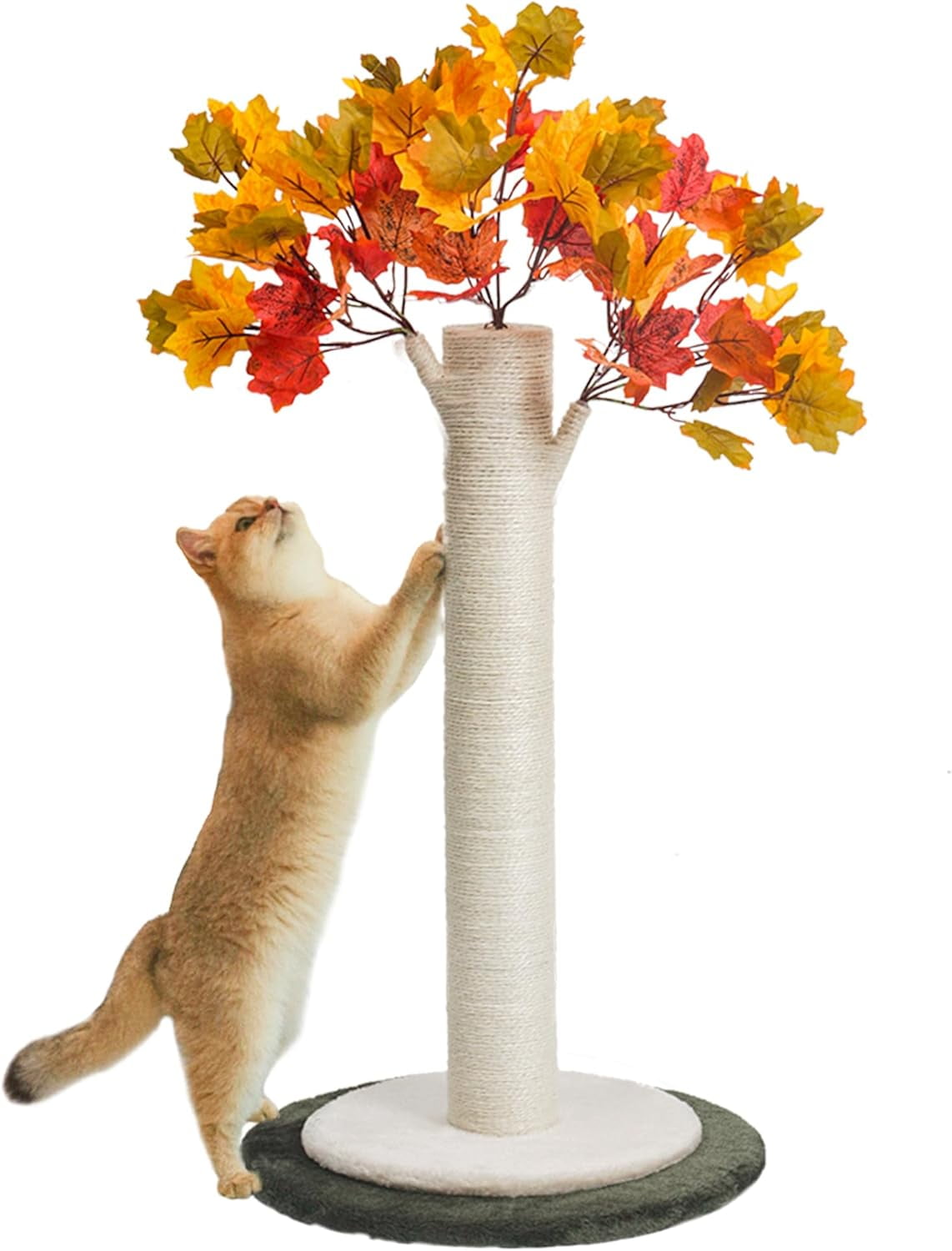 30 inch Cat Scratching Post Kitten Scratch Post for Indoor Cats Cat ...