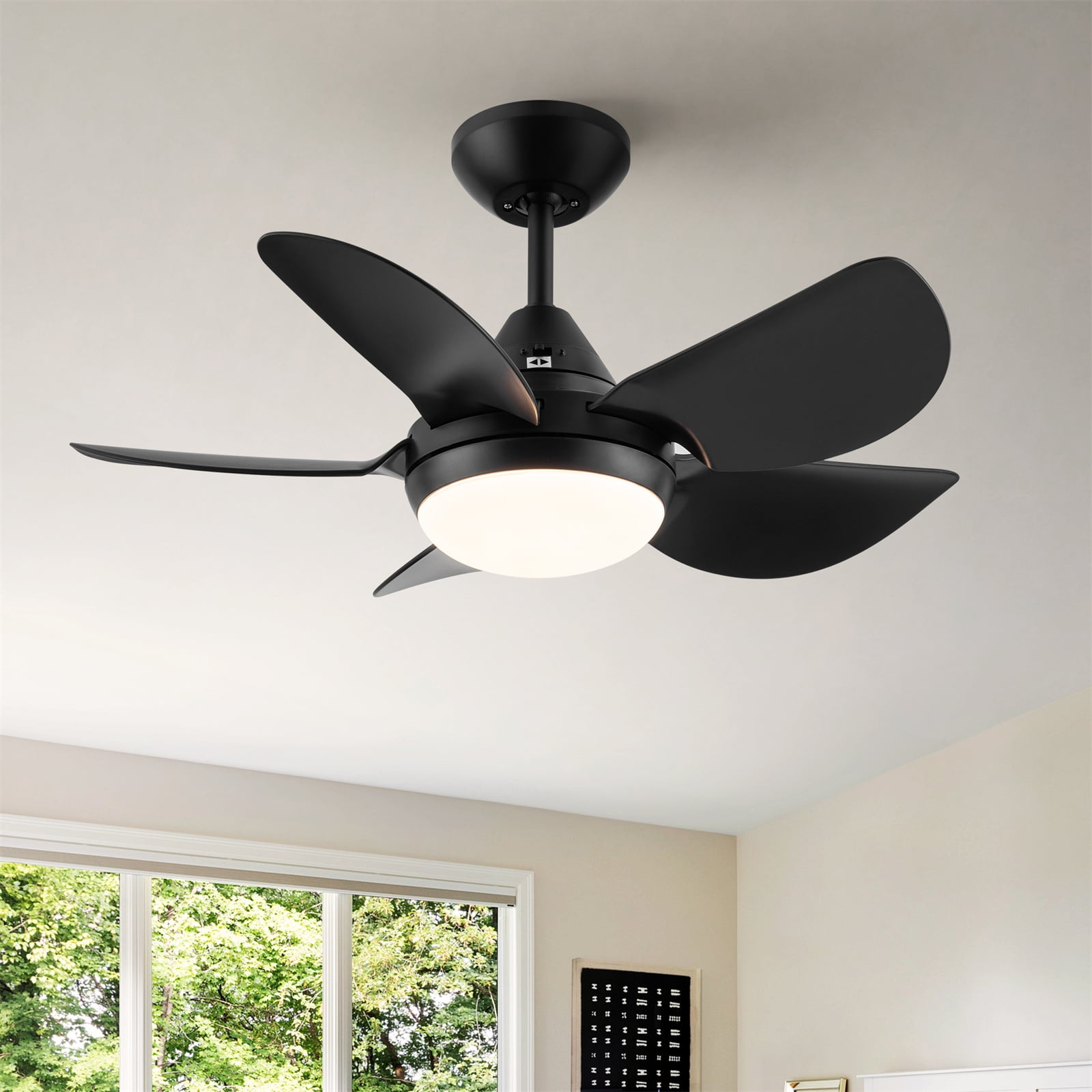 30 inch Ceiling Fans, Modern Ceiling Fan with Light and Remote Control ...