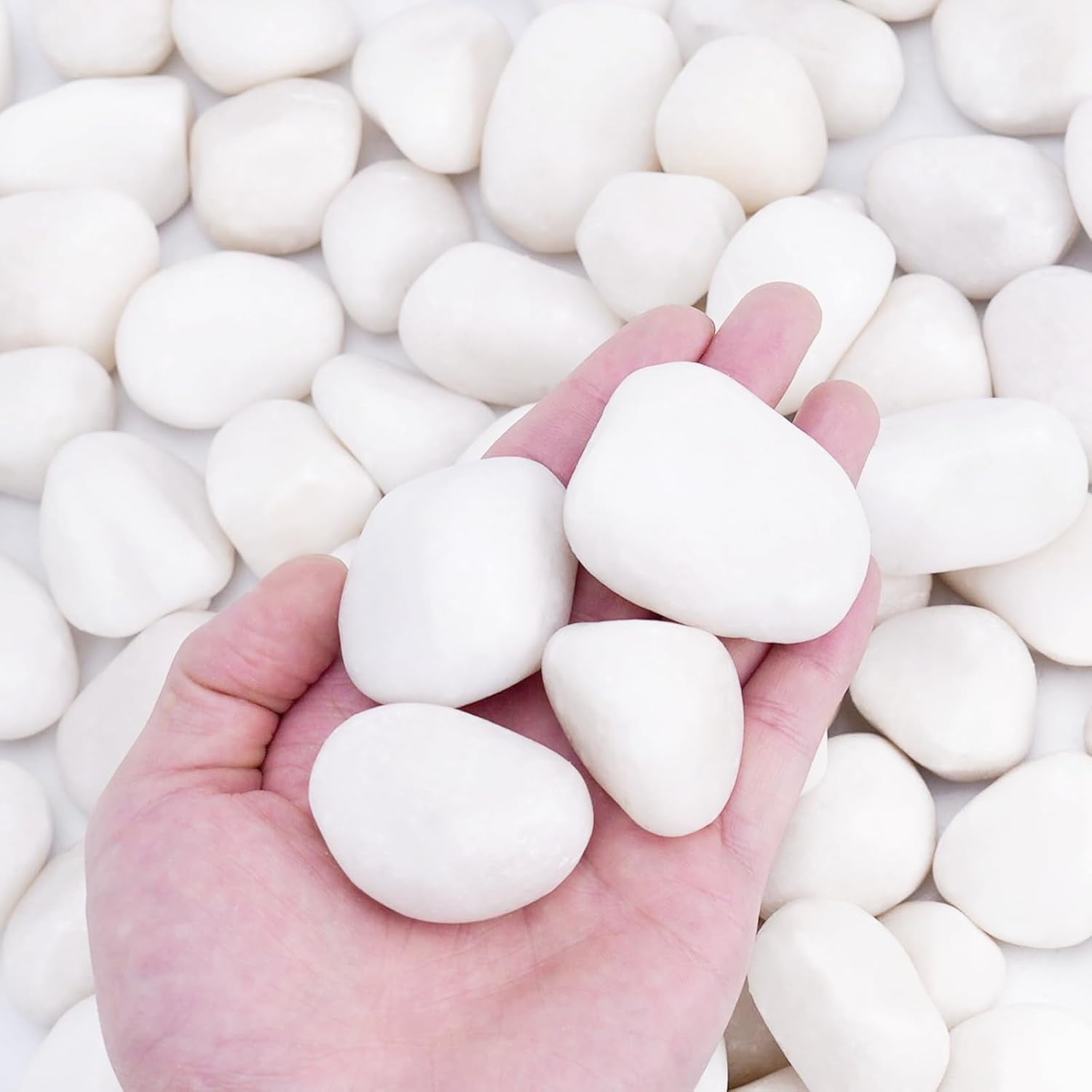 30 lbs White Rocks for Plants Indoor, 1-3 inch Decorative Garden Stone ...