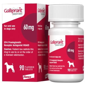 Galliprant (grapiprant) Tablets for Dogs, 60mg - Walmart.com