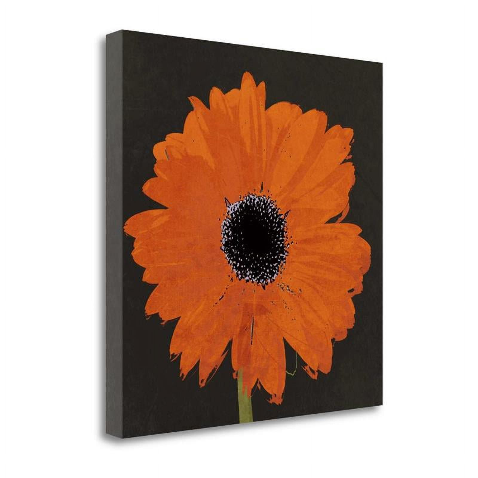 30" x 30" Midnight Gerbera I By Robert Lacie- Print on Canvas Fabric ...