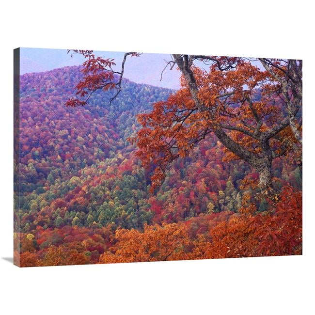 30 x 40 in. Blue Ridge Range with Autumn Deciduous Forest, Near Buck ...