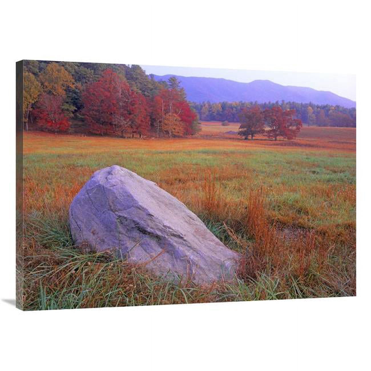 30 x 40 in. Boulder & Autumn Colored Deciduous Forest, Cades Cove ...
