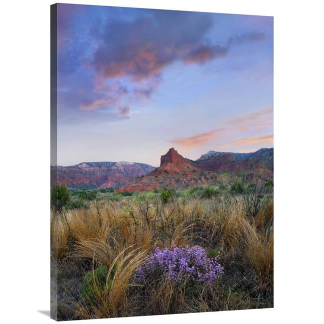 30 x 40 in. Caprock Canyons State Park, Texas Art Print - Tim ...