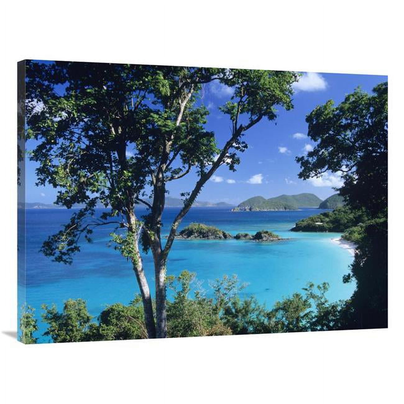 30 x 40 in. Caribbean Seen Through Trees, Virgin Islands National Park ...