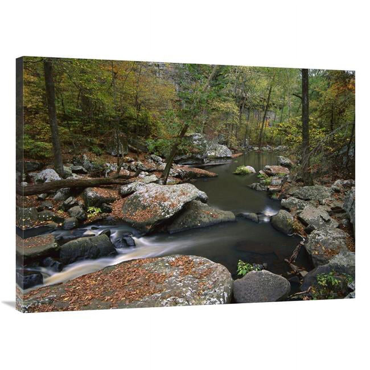 30 x 40 in. Cedar Creek Flowing Through Deciduous Forest, Petit Jean ...