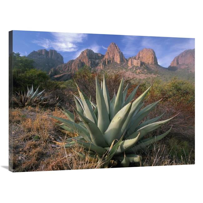 30 x 40 in. Chisos Agave & the Chisos Mountains, Big Bend National Park ...
