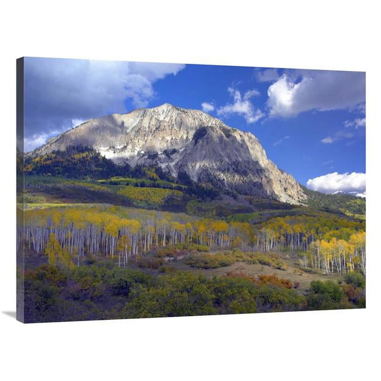 30 x 40 in. Fall Colors At Gunnison National Forest, Colorado Art Print ...