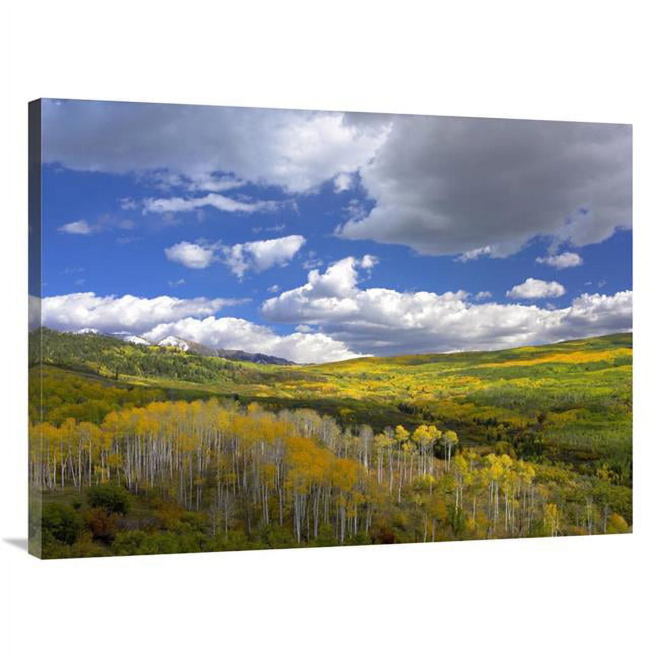 30 x 40 in. Gunnison National Forest in Fall, Colorado Art Print - Tim ...