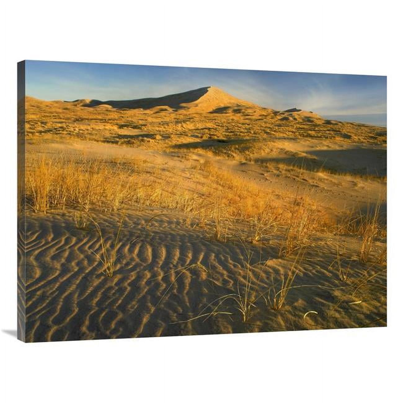 30 x 40 in. Kelso Dunes & Grasses, Mojave National Preserve, California ...
