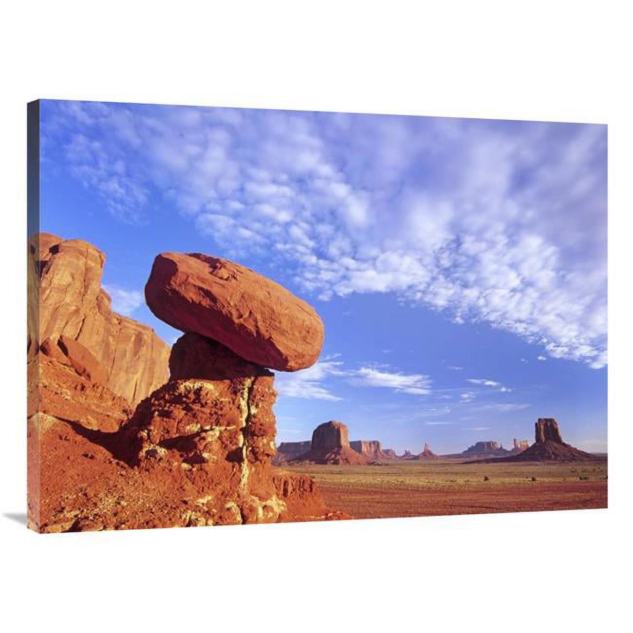 30 x 40 in. Mushroom Rock in Monument Valley Najavo Tribal Park ...
