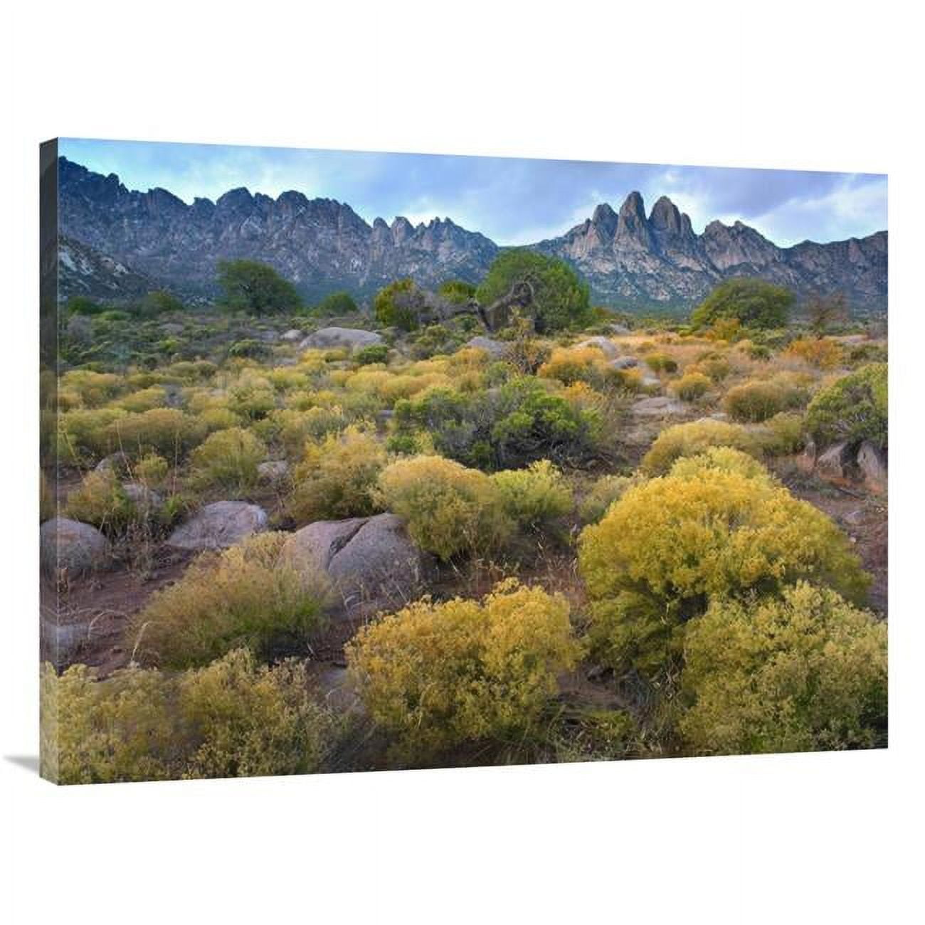 30 x 40 in. Organ Mountains, Chihuahuan Desert, New Mexico Art Print ...